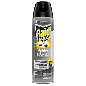 Raid Spider and Scorpion Killer, Kills spiders, scorpions, roaches, ants, Waterbugs, earwigs, 12 Oz