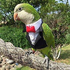 Pet Small Animals Clothes Birds Flight Suit for Parrots African Greys Parakeet Cockatiel Sun Conure, Cute School Uniform Tuxedo Business Suit for Christmas Party Birthday Pet Shows Cosplay Photo Prop