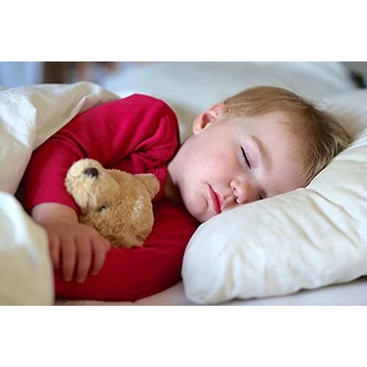 Travel Pillow Case 12x16 Size Set of 2 Envelope Closure Toddler Pillowcase 600 Thread Count 100% Soft Egyptian Cotton Travel Pillow Covers 12 x 16, White Solid