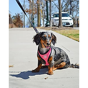 Gooby Soft Mesh Dog Harness - Flamingo Pink, Medium - All Weather Mesh Head-in Small Dog Harness with D Ring Leash - Perfect on The Go Breathable Dog Harness for Medium Dogs No Pull and Small Dogs