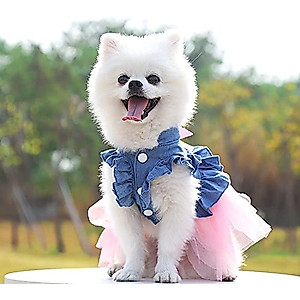 Harikaji Pet Clothes, Sweet Bowknot Small Dog Skirt Girl Tutu Clothing Puppy Cat Sleeveless Apparel Teddy Clothes Wedding Dresses for Spring and Summer (XL)