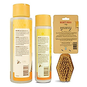 Burt's Bees Bundle Oatmeal Grooming Kit | Includes Oatmeal Dog Shampoo and Conditioner with Colloidal Oat Flour and Honey, and Double Sided Pin & Bristle Brush