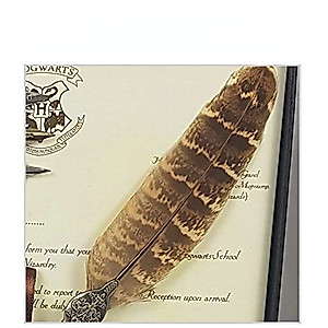 DSWINCE Feather Calligraphy Pen Set for Beginners,Metal Nib Writing Quill Ink Pen Vintage Fountain Dip Pen Gift Set (Owl feather pen)