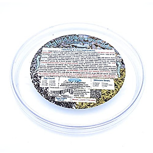 Coastal Silkworms 250 Count Black Tiger Silkworm Eggs Hatch at Room Temp (Pack of 1)