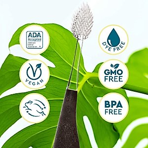 RADIUS Toothbrush Source Floss Brush BPA Free & ADA Accepted Improve Gum Health & Reduce Gum Issues - Super Soft - Assorted Colors - Pack of 6