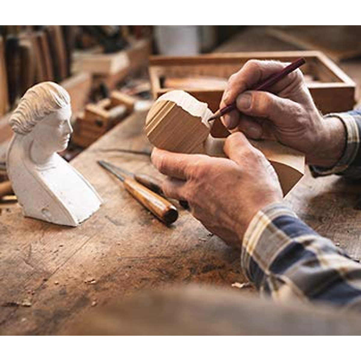 CanUsa Brand Basswood Carving Wood Blocks from Wisconsin USA. Whittling Wood Carving Wood Blocks for Carving. Contains Two Large Basswood Carving Blocks and Eight Small.