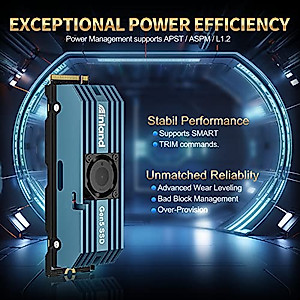 INLAND TD510 2TB PCIe 5.0 M.2 SSD Gen5 x 4 232-L 3D TLC NAND NVMe 2280 Internal Solid State Drive Gaming SSD with Heatsink & DRAM