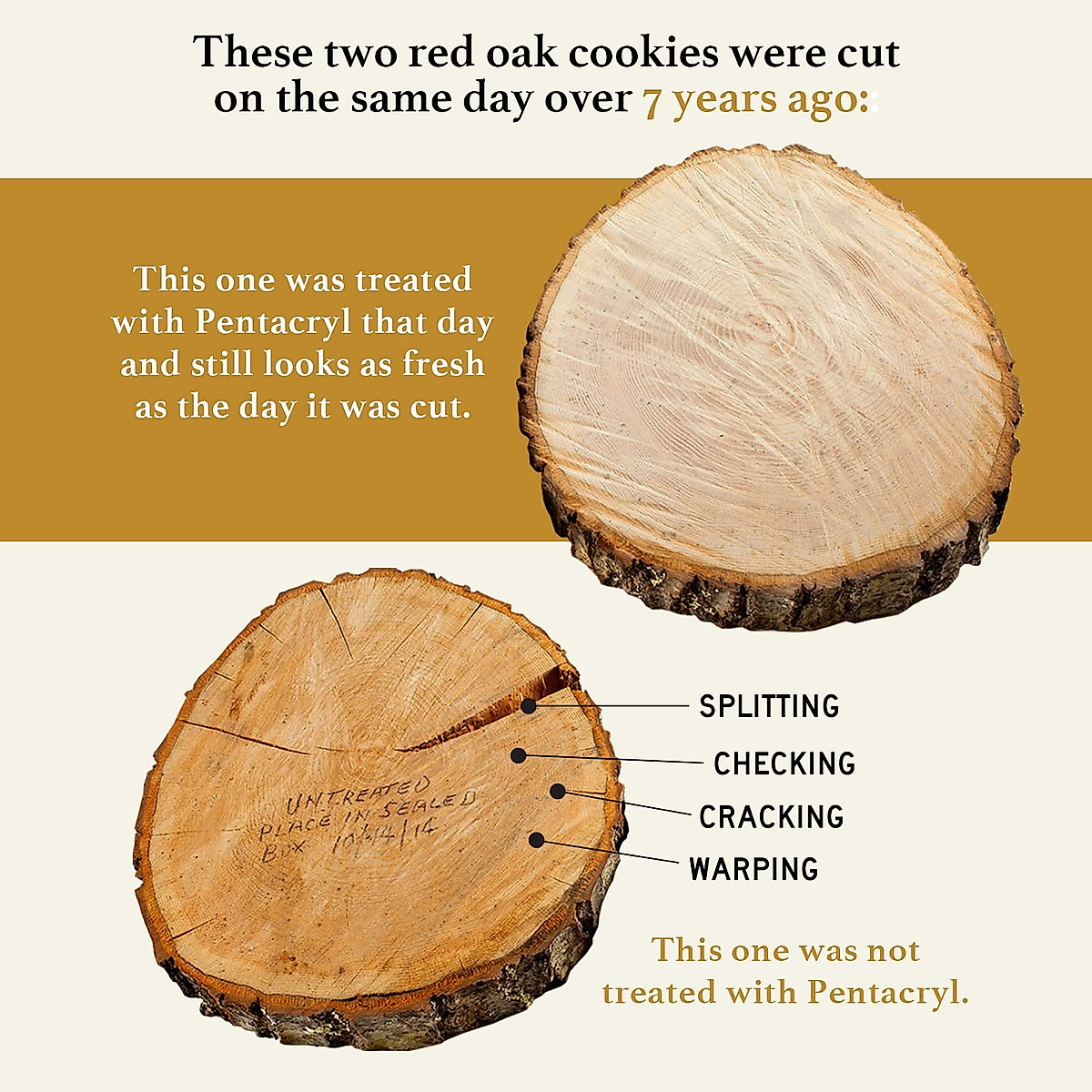 Preservation Solutions - Pentacryl Quart - Green Wood Stabilizer