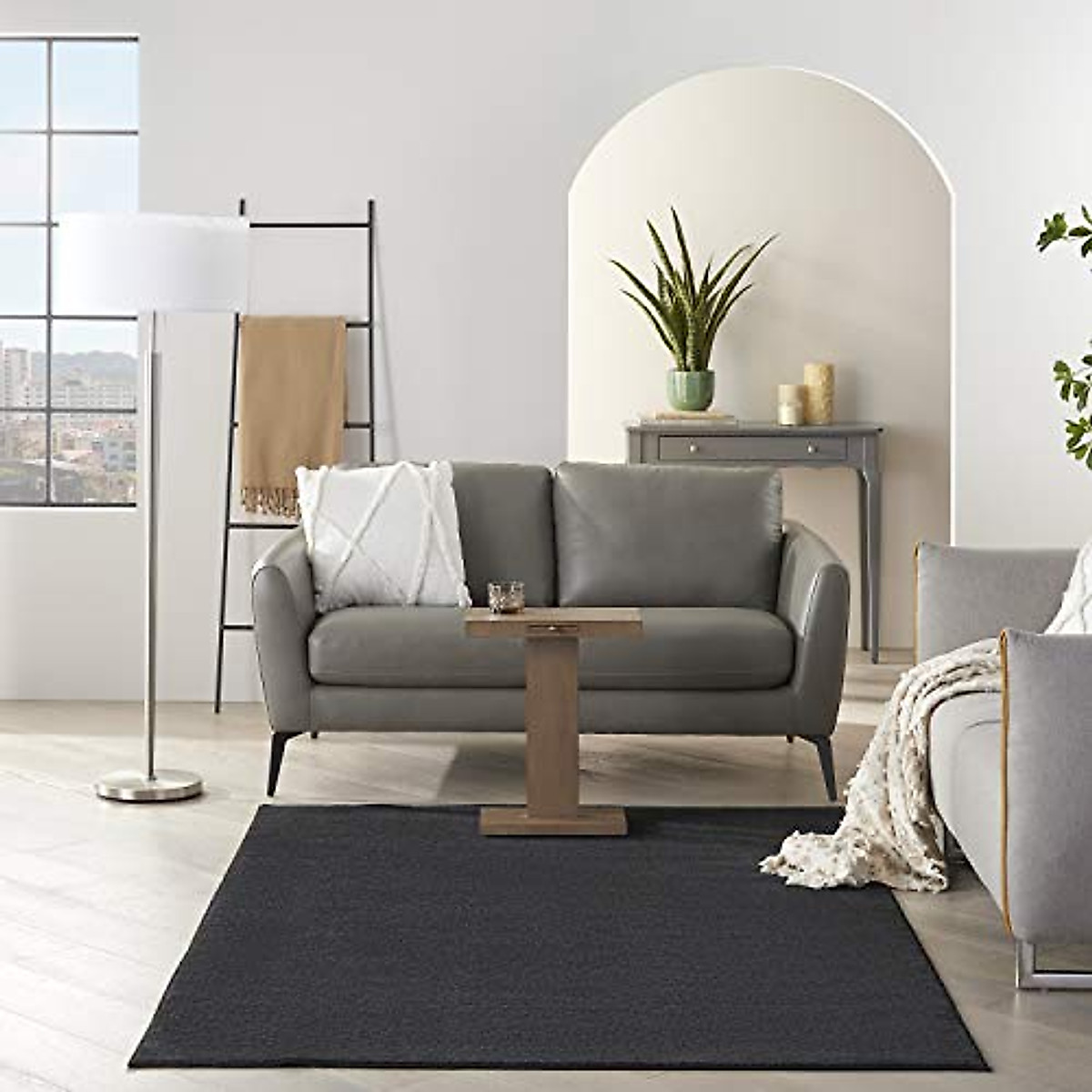 Nourison Essentials Indoor/Outdoor Black 6' x 9' Area Rug, Easy Cleaning, Non Shedding, Bed Room, Living Room, Dining Room, Backyard, Deck, Patio (6x9)