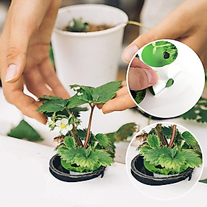 120pcs Plant Grow Stickers Compatible with AeroGarden Seed Pod, Grow Baskets Labels Hydroponic Plant Label for Seedlings Garden Pods for Labeling Plants and Recording Plant Growth (Round, Flower)