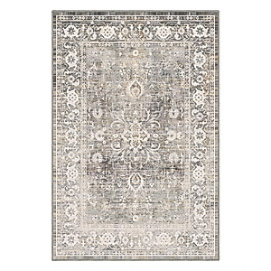 DEXI Area Rug 5x8, Washable Rugs Living Room Dining Room Bedroom Bedside, Non-Shedding Low-Pile Shag Soft Large Carpet Mat for Inside Floor, Beige Grey