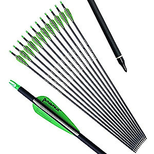 PANDARUS Archery 32Inch Carbon Practice Hunting Arrows with Removable for Youth Compound & Recurve Bow Target Pack of 12 (Green)