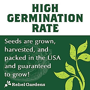 Organic Herb Seeds - Certified Non GMO Heirloom Herbs Home Garden Seed for Planting Indoors and Outdoors (10 Culinary Varieties Pack)