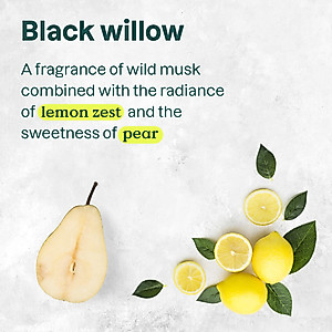 ATTITUDE 2-in-1 Body Wash and Hair Shampoo, EWG Verified Shower Gel, Dermatologically Tested, Made with Naturally Derived Ingredients, Vegan Personal Care, Black Willow and Aspen, 16 Fl Oz