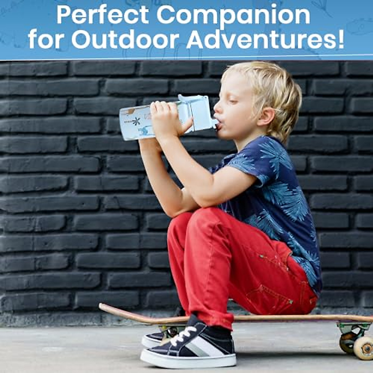 Lexlion Water Bottle 14 Oz, Triple Walled Insulated Stainless Steel Odor & Strain Resistant Reusable Bottle, 1 straw Lid, Leakproof, Metal Mug Gallon, BPA Free, Blue Zoo