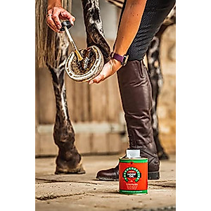 Carr & Day & Martin Tea Tree Hoof Oil 500ml