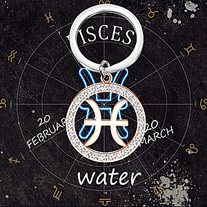 TGBJE Zodiac constellation Keychain Zodiac Sign Gift Zodiac Outline Gift Horoscope Constellation Celestial Zodiac Keychain (RG Pisces)