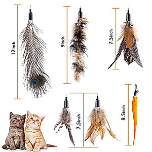 Retractable Cat Wand Toy for Indoor Cats Interactive Cat Feather Toys with Bell 8 Packs Kitten Toys with Fishing Pole Replaceable Worm Feather Tail Cat String Toy Gift for Indoor Outdoor