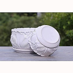 Miikoo1 White Flower Pot Outdoor Ceramic Bonsai Planter Indoor Desktop Balcony Simple Personality Plant Pot with Drainage Hole and Tray, Home Balcony Green Plants Bonsai