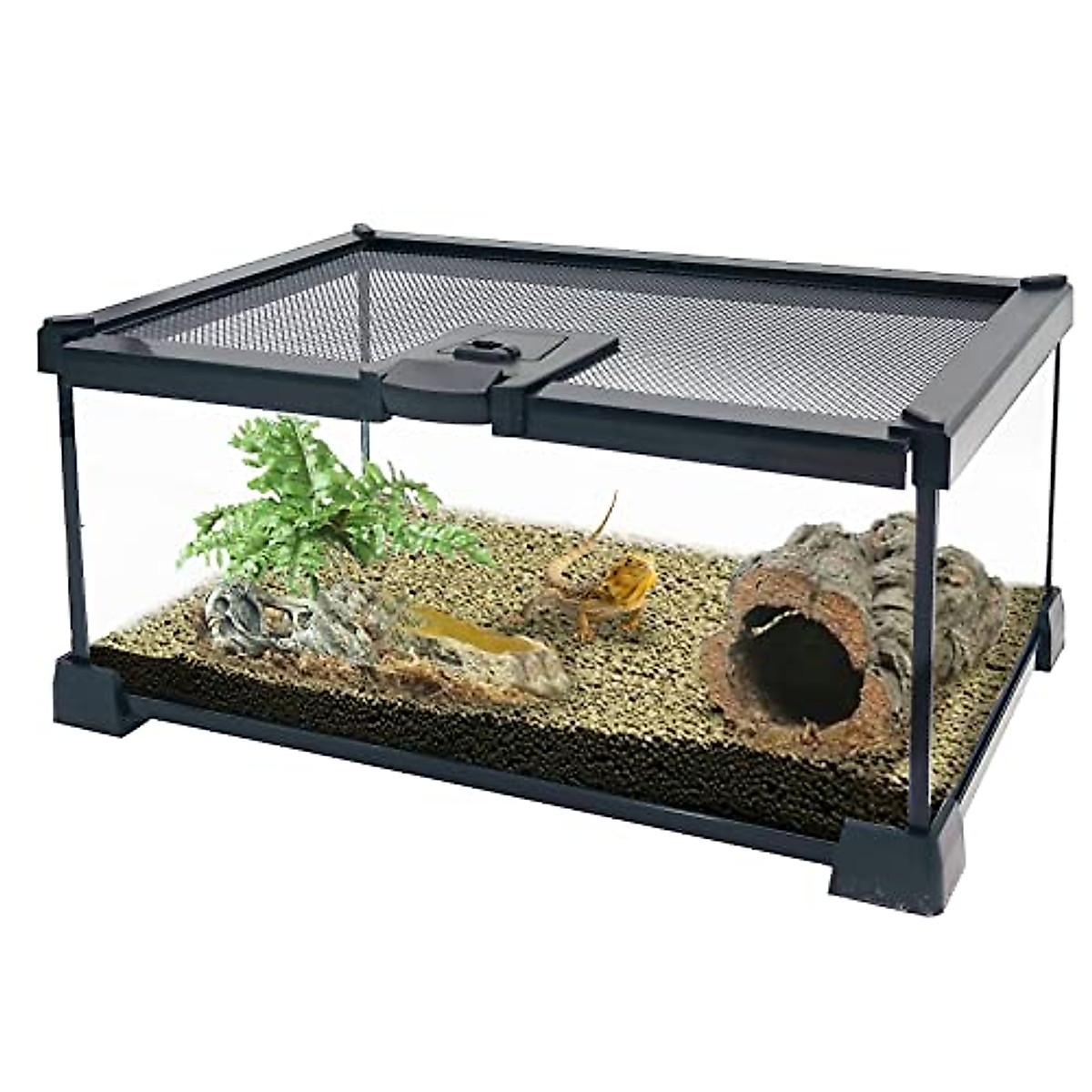 PINVNBY Reptile Glass Terrarium Ball Python Tank 12"x8"x6" Micro Habitat Terrarium Enclosure Amphibians Tank Cage Full View Visually Appealing for Small Reptiles,Spiders,Leopard Gecko