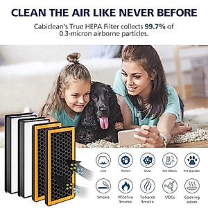 4 Pack Replacement Filters Compatible with HoMedics PetPlus at-PETODR Filter and TotalClean at-OFL Filter for AT-PET01, AT-PET02,and AR-45