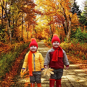 SJOLOON Fall Photography Backdrop Autumn Backdrop Golden Fallen Leaves Real Natural Landscape Photography Background for Party Decoration Banner Baby Shower Studio Props 11631 (7x5FT)