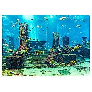 GLOGLOW Aquarium Poster, Underwater City Ruins Background Sticker Thicken PVC Adhesive Static Cling Backdrop Fish Tank Decorative Paper(76×46cm)
