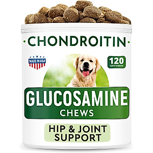 Dog Probiotics Chews + Glucosamine Bundle - Gas, Diarrhea, Allergy, Constipation, Upset Stomach Relief + Hip & Joint Care - Digestive Enzymes + Prebiotics + Chondroitin, MSM, Omega-3 - 300 Soft Chews