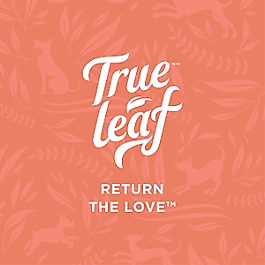 True Leaf Pet Hemp Hip + Joint Chews 200g (77003)