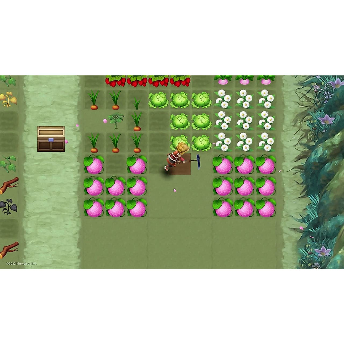 Rune Factory 3 Special – Golden Memories Limited Edition - Nintendo Switch