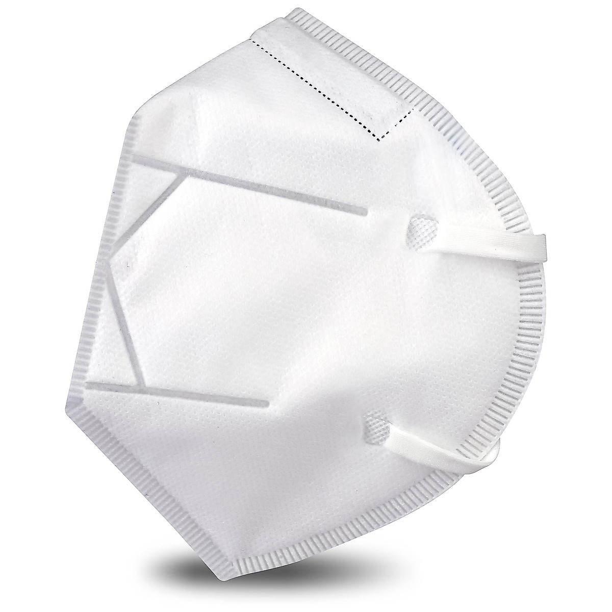 Honeywell Safety Products NIOSH-Approved N95 Flatfold Project Respirator, 20-pack (RWS-54038)