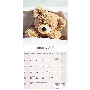Teddy Bear Calendar - Calendars 2020 - 2021 Wall Calendars - Doll Calendars - Teddy Bears 16 Month Wall Calendar by Avonside