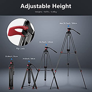 NEEWER 79”/200cm Video Tripod, Heavy Duty Aluminum Alloy Camera Tripod Stand with 360°Fluid Drag Head, QR Plate Compatible with Canon Nikon Sony and Other DSLR Camera Camcorder, Load Up to 17.6lb/8kg