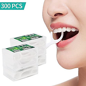 LEEGAWU Dental Floss Travel Floss Professional Toothpicks Sticks Dental Floss Picks Flossers with Travel Case Superfine Floss Picks Dental Picks for Teeth Cleaning (300count)