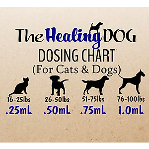 The Healing Dog: Hemp Oil for Cats & Dogs - 300mg