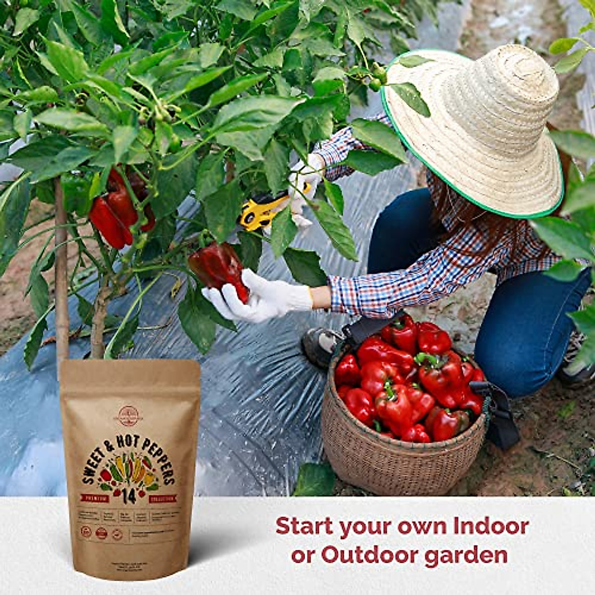 14 Sweet & Hot Peppers Seeds Variety Pack 700 Seeds Non-GMO Peppers Seeds for Planting Outdoor & Indoor Home Gardening Anaheim Jalapeno Habanero Cayenne Serrano Poblano Cubanelle Pepperoncini & More