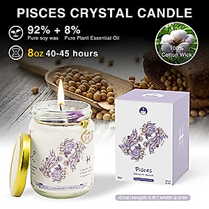 ZINCGE Pisces Zodiac Crystal Candle Gifts for Women, Astrology Spiritual Birthday Gifts Horoscope Natural Soy Bergamot Scented Candle with Dry Flowers and Amethyst Healing Crystals