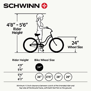 Schwinn Destiny Beach Cruiser Bike for Men Women, Ages 8 Up or Rider Height 4'8" to 5'6", 24-Inch Wheels, Single Speed, Rear Cargo Rack, Purple