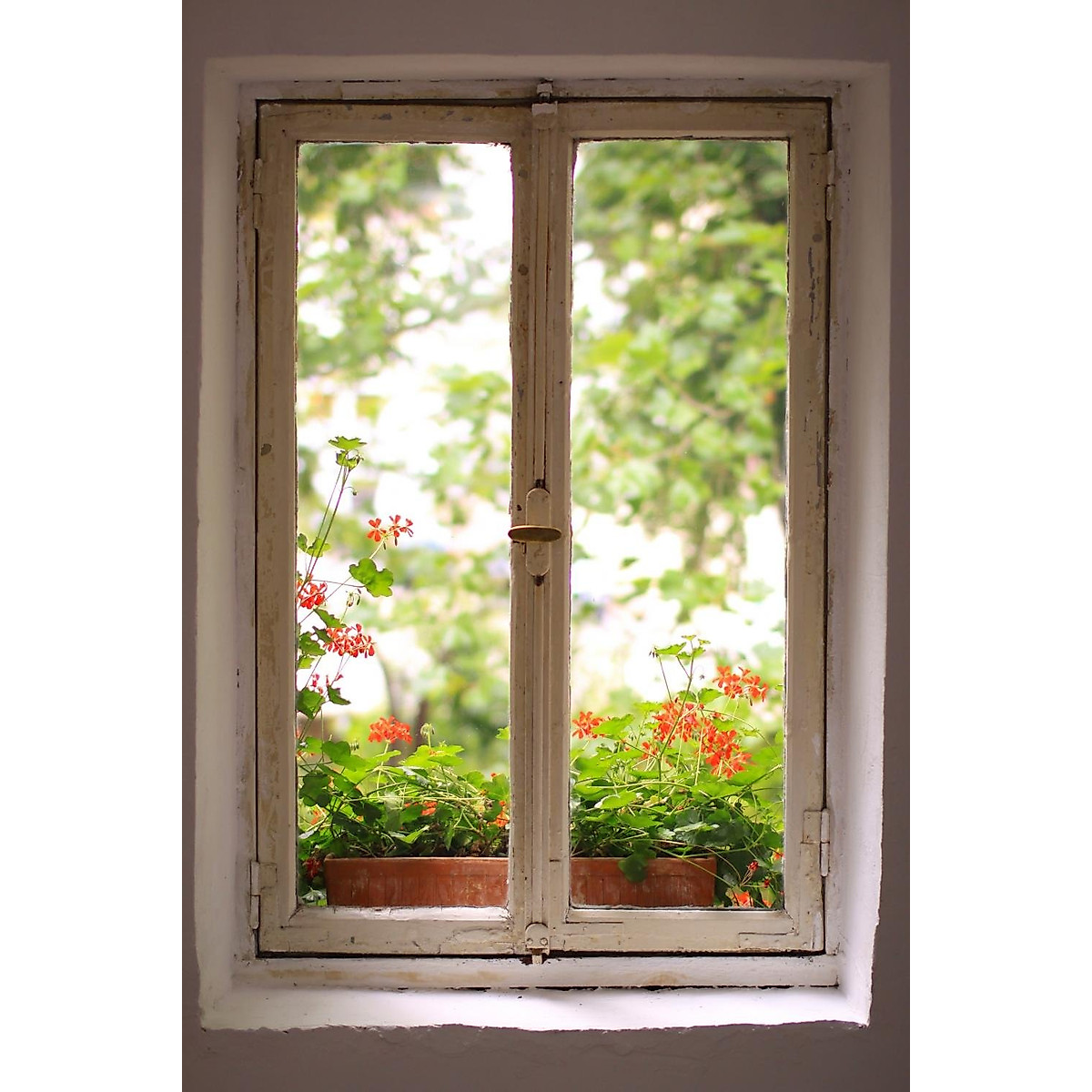 Wallmonkeys WM199818 Window to The Garden Wall Decal Peel and Stick Graphic (36 in H x 24 in W)