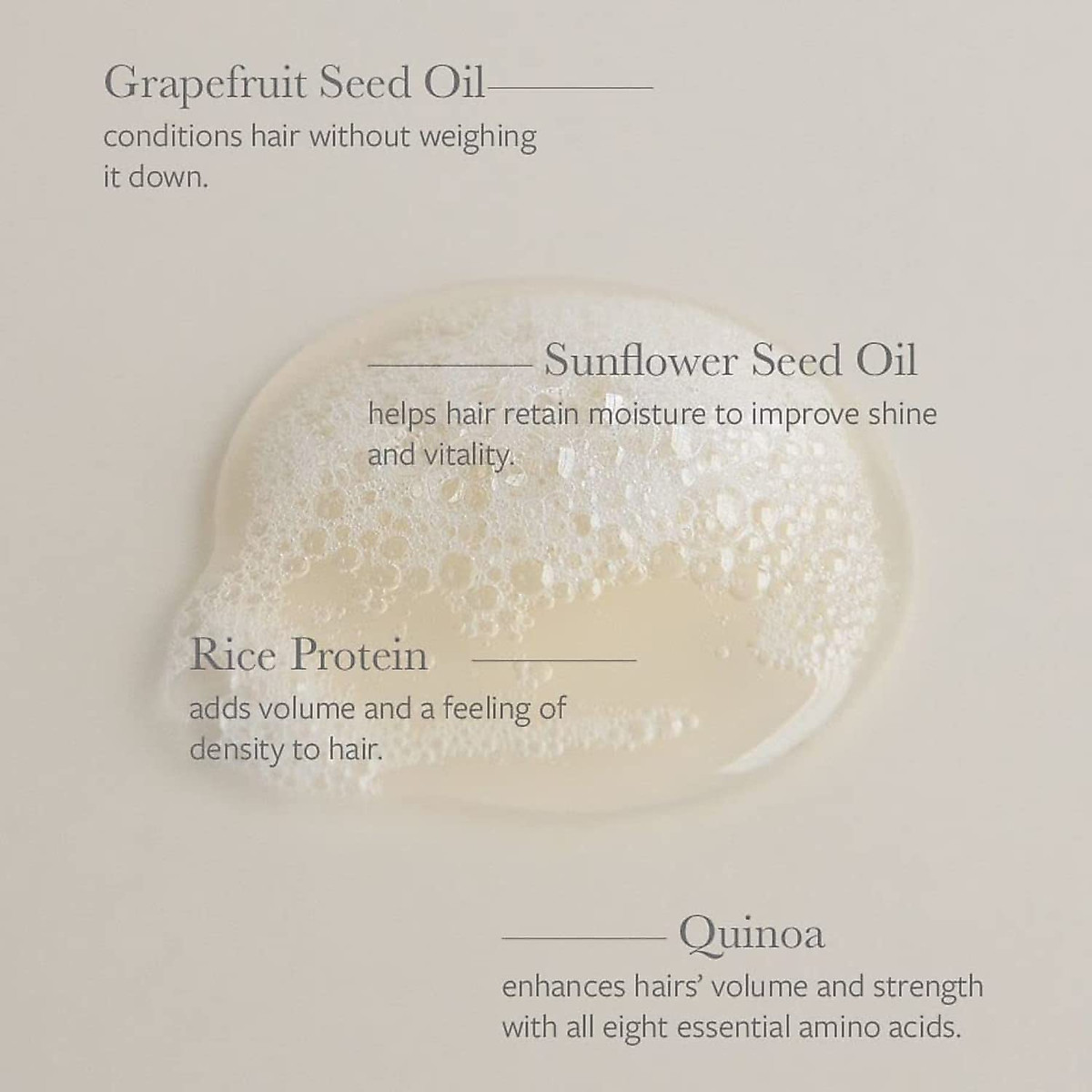 Seed Phytonutrients - Natural Volume Shampoo | Sustainable, Vegan Clean Beauty (8.5 fl oz | 250 ml)