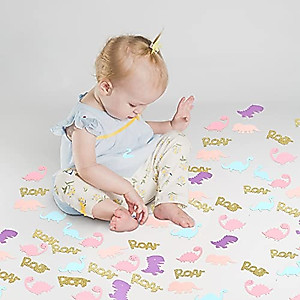 240 Pieces Girl Dinosaur Confetti Table Scatter for Dino Theme Birthday Party Cute Dinosaur Confetti Table Decoration Arts Crafts DIY Baby Shower Birthday Party Supplies Decorations for Little Kids