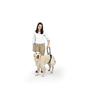 PetSafe CareLift Rear Support Harness – Lifting Aid with Handle and Shoulder Strap – Great for Pet Mobility and Older Dogs – Comfortable, Breathable Material – Easy to Adjust, Black, Large