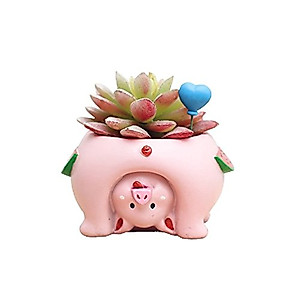 Youfui Cute Animal Flowerpot Animal Resin Succulent Planter Desk Mini Ornament (Pig)