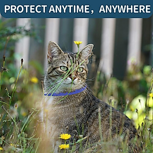 VICSOM 4 Pack Cat Flea Collar - Adjustable, Waterproof Flea and Tick Prevention for Cats and Kittens - 32 Months Protection - Flea and Tick Treatment - Blue