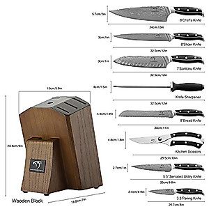 Kitchen Damascus Knife Set, WanRui Series 9-Piece Kitchen Knife Set with Block, Non-slip ABS Ergonomic Triple Rivet Handle for Chef Knives, Sharpener and Shears, Natural Wood Block (Updated Version)