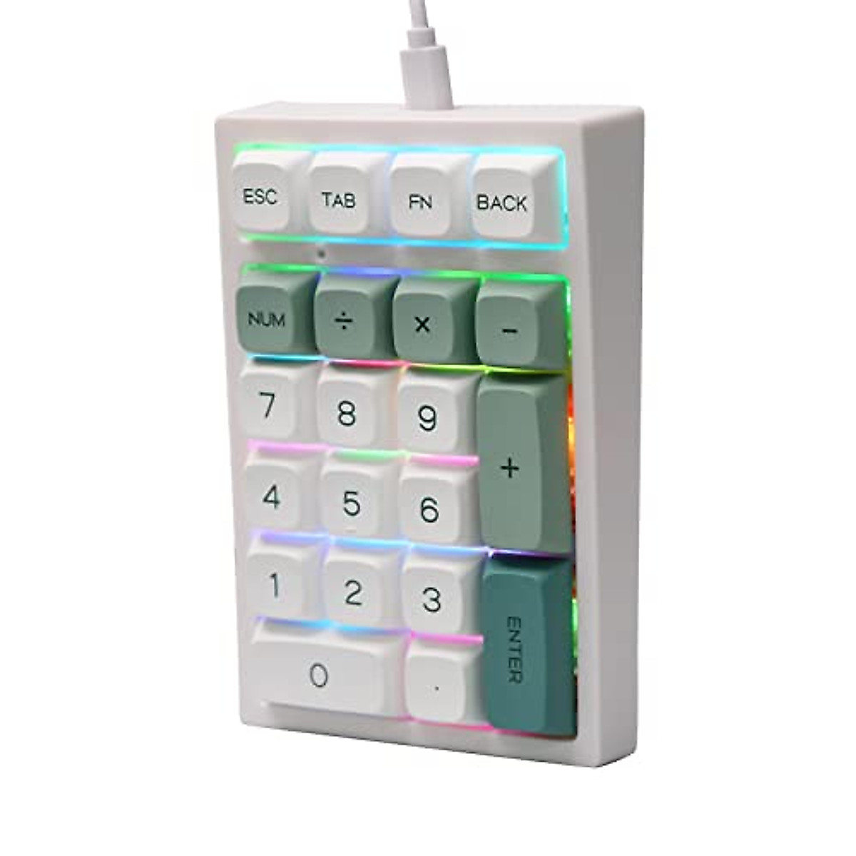 EPOMAKER TH21 21 Keys Hot Swappable Mechanical Gaming Numpad, 3 Modes(2.4Ghz/Bluetooth 5.0/Wired) Programmable RGB Numeric Keypad with PBT Keycaps for Win/Mac (Botanic Garden, Flamingo Switch)