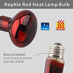 Aiicioo Reptile Red Heat Lamp Bulb - 100W Infrared Basking Spot Light for Breaded Dragon Heat Light Bulb for Gecko Iguana Snake Ball Python Night Time