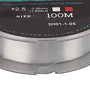 Super Strong Fishing Line, Durable 100M Nylon Fishing Line Lightweight for Pool Fishing(#2.5)