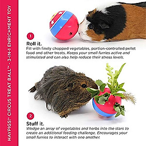 HAYPIGS 1x Circus Themed Guinea Pig Treat Ball - Guinea Pig Toys and Accessories - Rabbit Enrichment Toys Small Animal Toy - Small Pet Activity Ball - Pet Entertainment