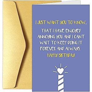 Chenive Happy Birthday Card for Husband Wife, Funny Birthday Card for Boyfriend Girlfriend, Romantic Bday Greeting Card, Enjoyed Annoying You Card